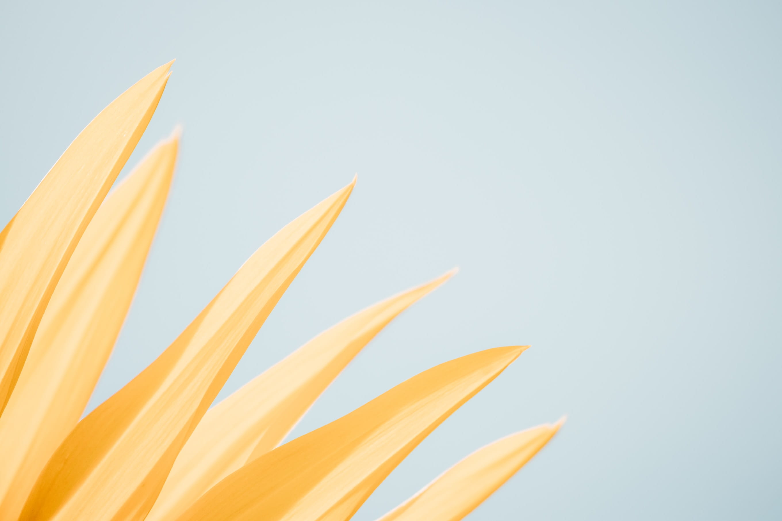 The Adecco Group | Solutions